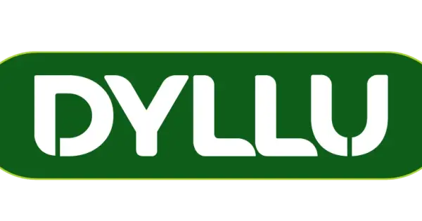 Dyllu